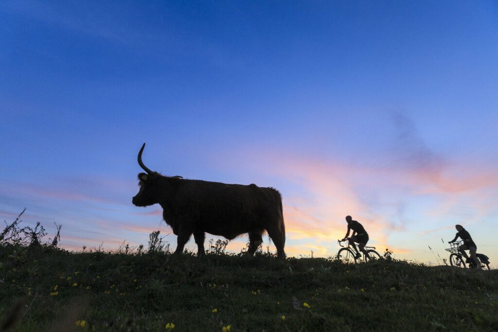 Fietspaden duinen dicht rond Formule 1 – RTV Seaport