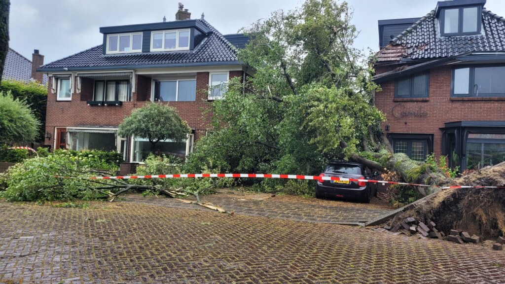 Stormschade vanwege Poly, zwaarste zomerstorm ooit – RTV Seaport