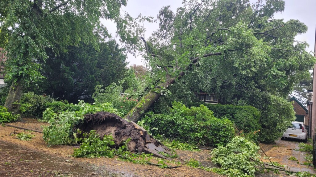 Stormschade vanwege Poly, zwaarste zomerstorm ooit – RTV Seaport