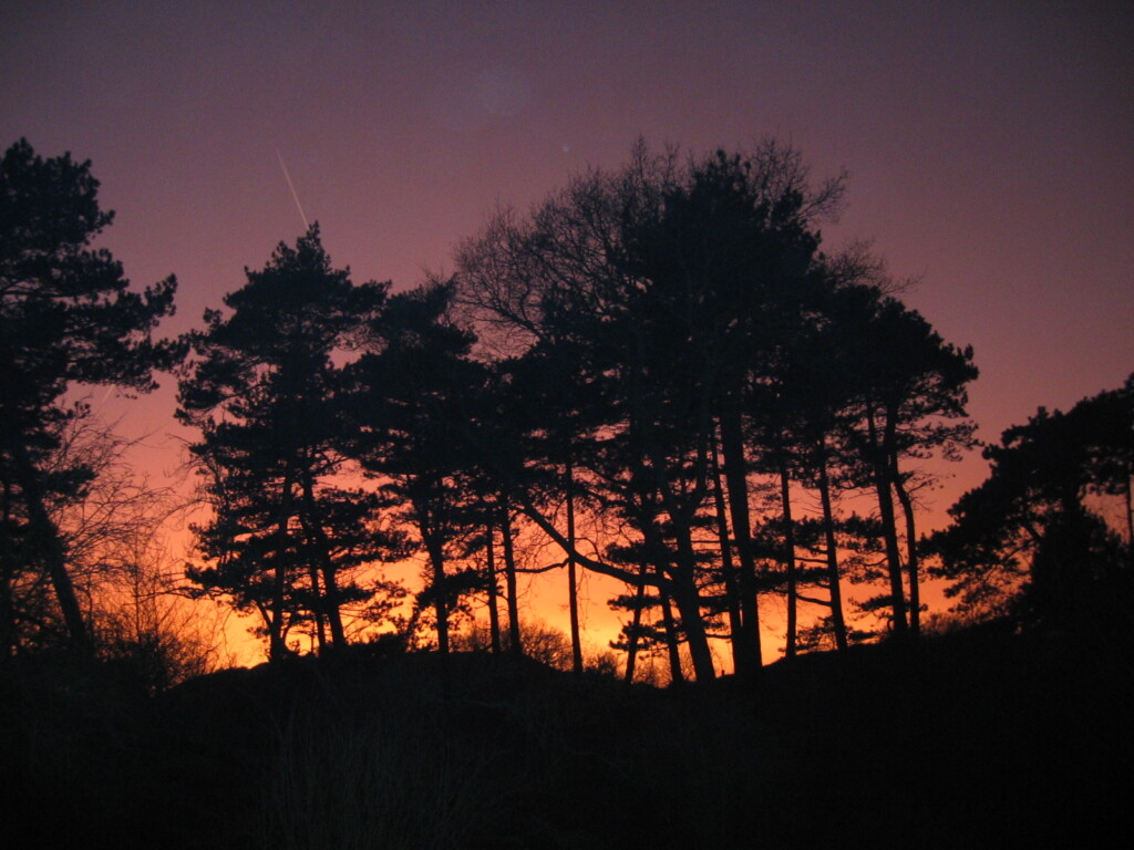 Ontdek de magie van de nacht met ‘Donker in de Duinen’ - Oozo.nl